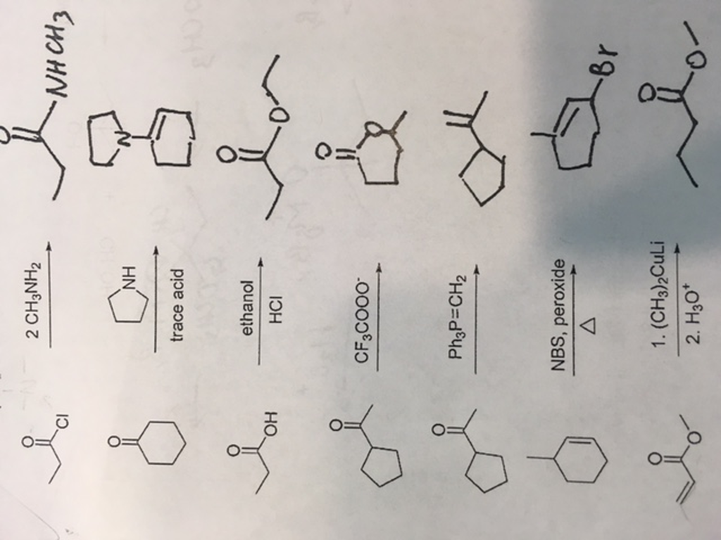 Solved OH 2 CH3NH2 NH trace acid ethanol HCI CF3COOO | Chegg.com