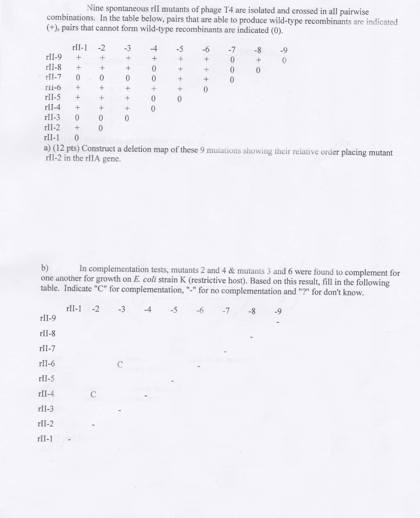 Solved Nine spontaneous rlI mutants of phage T4 are isolated | Chegg.com