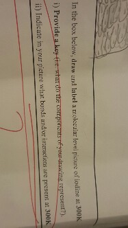 draw and label a molecular level picture of iodine at | Chegg.com