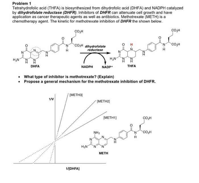 Solved What type of inhibitor is methotrexate? (Explain) | Chegg.com