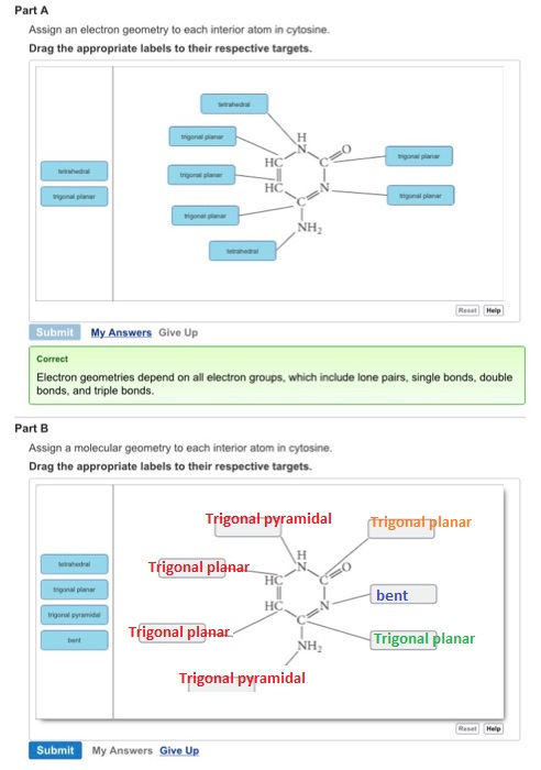 art A Assign An Electron Geometry To Each Interior Atom In Cytosine ...