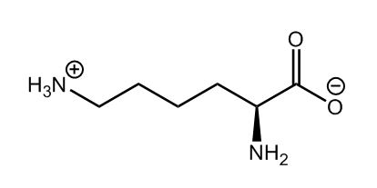 Solved Consider the amino acid lysine. The structure of | Chegg.com