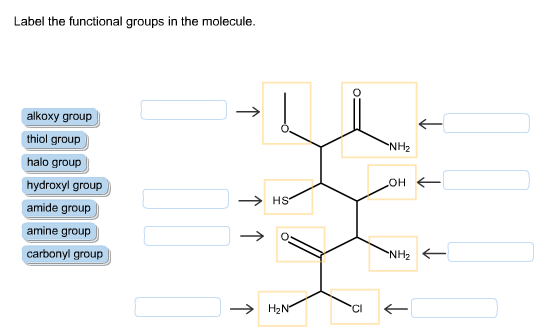 Solved Label the functional groups in the molecule. | Chegg.com Solved Label the functional groups in the molecule. | Chegg.com