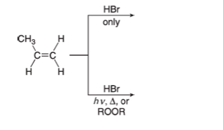 Solved HBr HBr hv, delta, or ROOR | Chegg.com