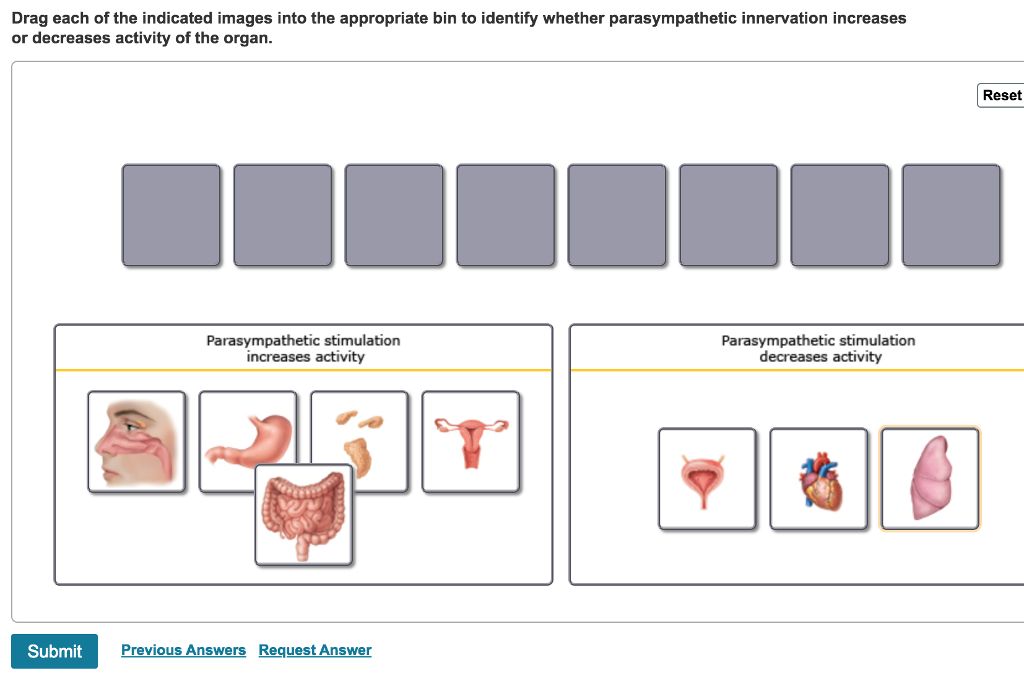 Solved Drag each of the indicated images into the | Chegg.com
