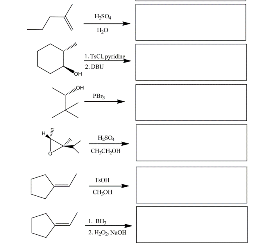 Solved In the box provided, give the structure of the MAJOR | Chegg.com