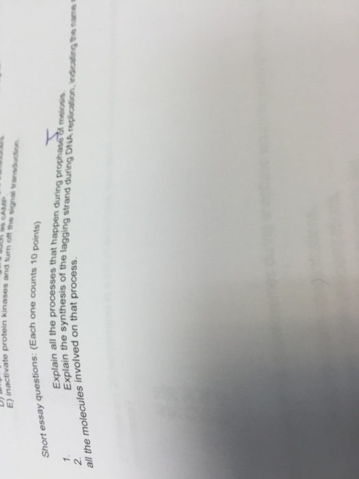 Solved Explain all the processes that happen during | Chegg.com