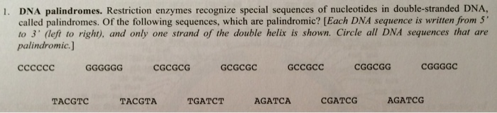 Solved DNA palindromes. Restriction enzymes recognize | Chegg.com
