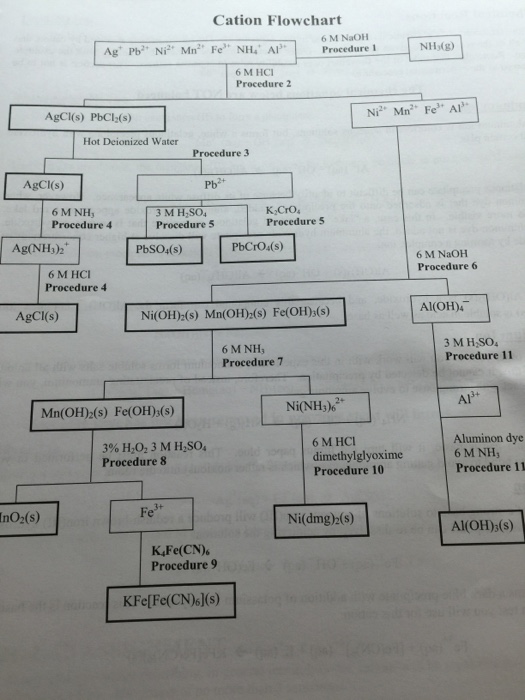 Solved Cation Flowchart 6 M NaOH Procedure 1 NH (g) 6 M HCI | Chegg.com
