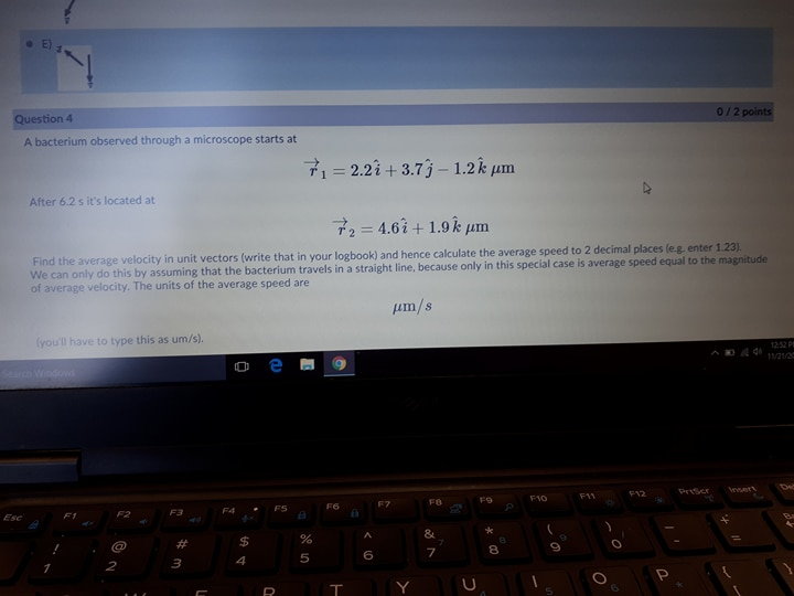Solved E) 0/2 estion 4 A bacterium observed through a | Chegg.com