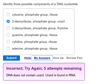 Solved Identify three possible components of a DNA | Chegg.com