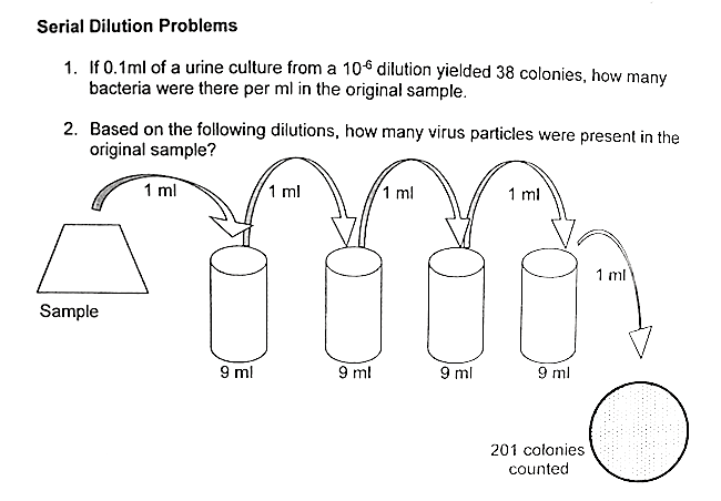 Solved If 0.1 ml of a urine culture from a 10^-6 dilution | Chegg.com