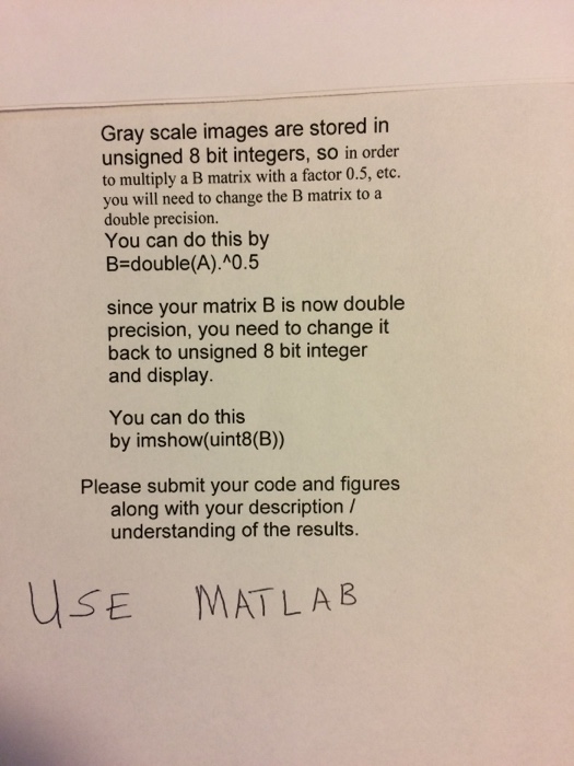 Solved Gray scale images are stored in unsigned 8 bit | Chegg.com