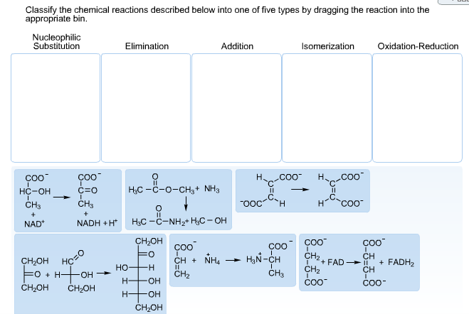 Solved Classify the chemical reactions described below into | Chegg.com