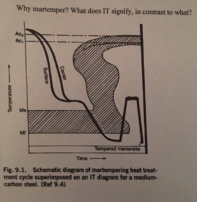 Solved Why martemper? What does IT signify, in contrast to | Chegg.com
