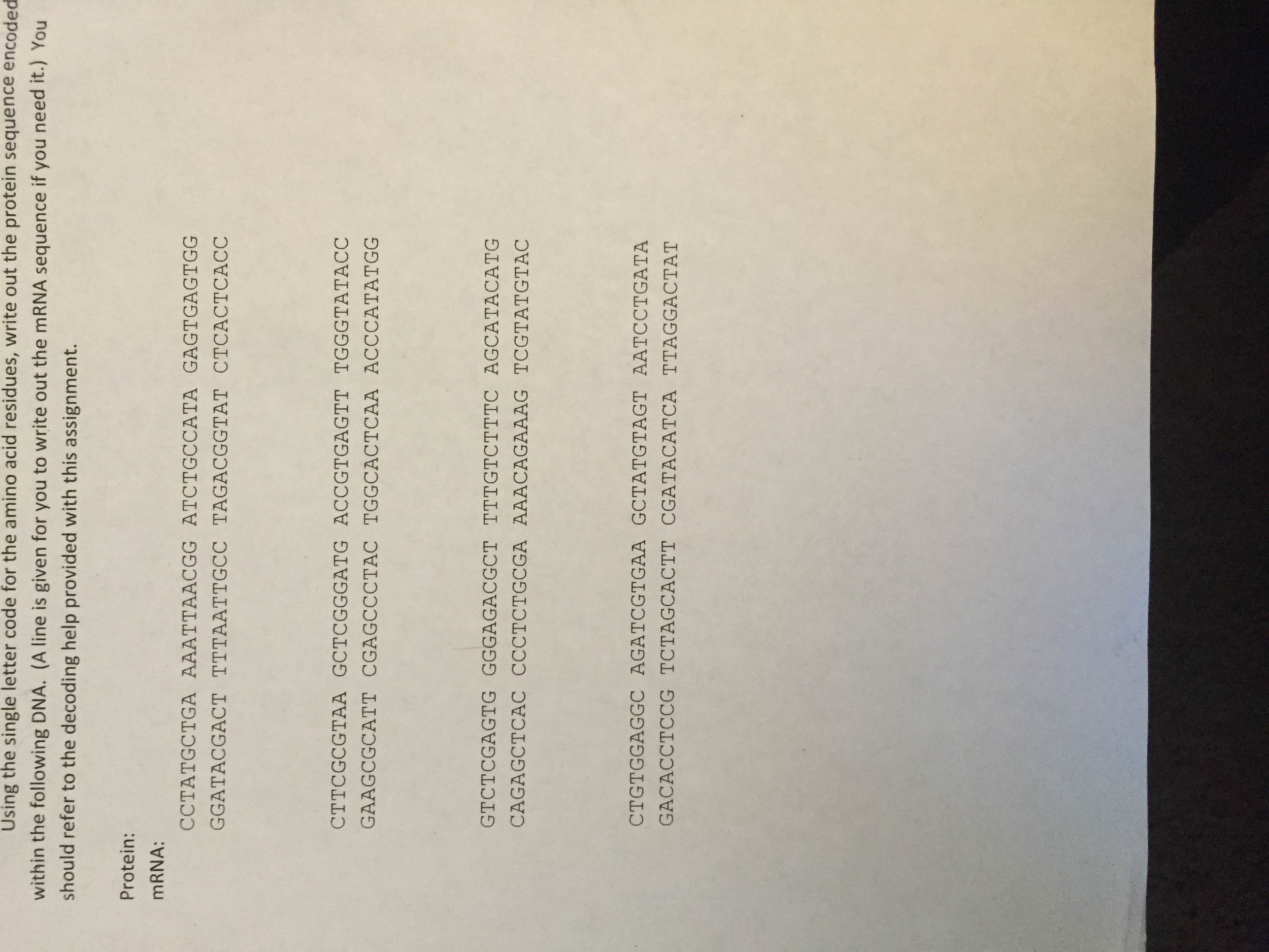 Solved Using the single letter code for the amino acid | Chegg.com