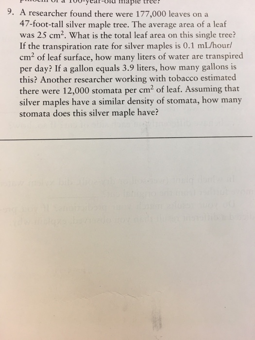 Solved: A Researcher Found There Were 177,000 Leaves On A ... | Chegg.com