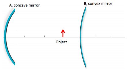 Concave Vs Convex Face