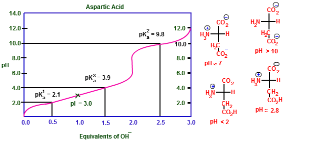 Aspartic Acid At Ph 7