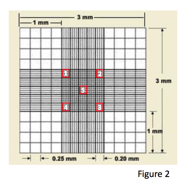 Solved Refer to the hemocytometer drawing in Figure 2. The | Chegg.com