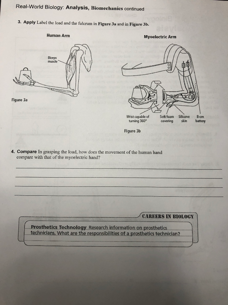 Solved Real-World Biology: Analysis, Biomechanics continued | Chegg.com