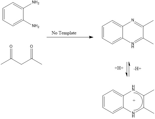 Solved NH2 NH2 No Template +H+H+ | Chegg.com