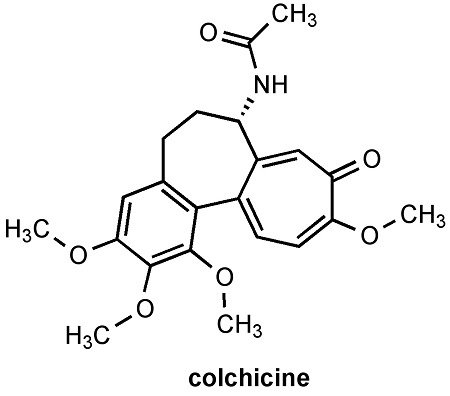 Solved So I need to find some information on colchicine but | Chegg.com