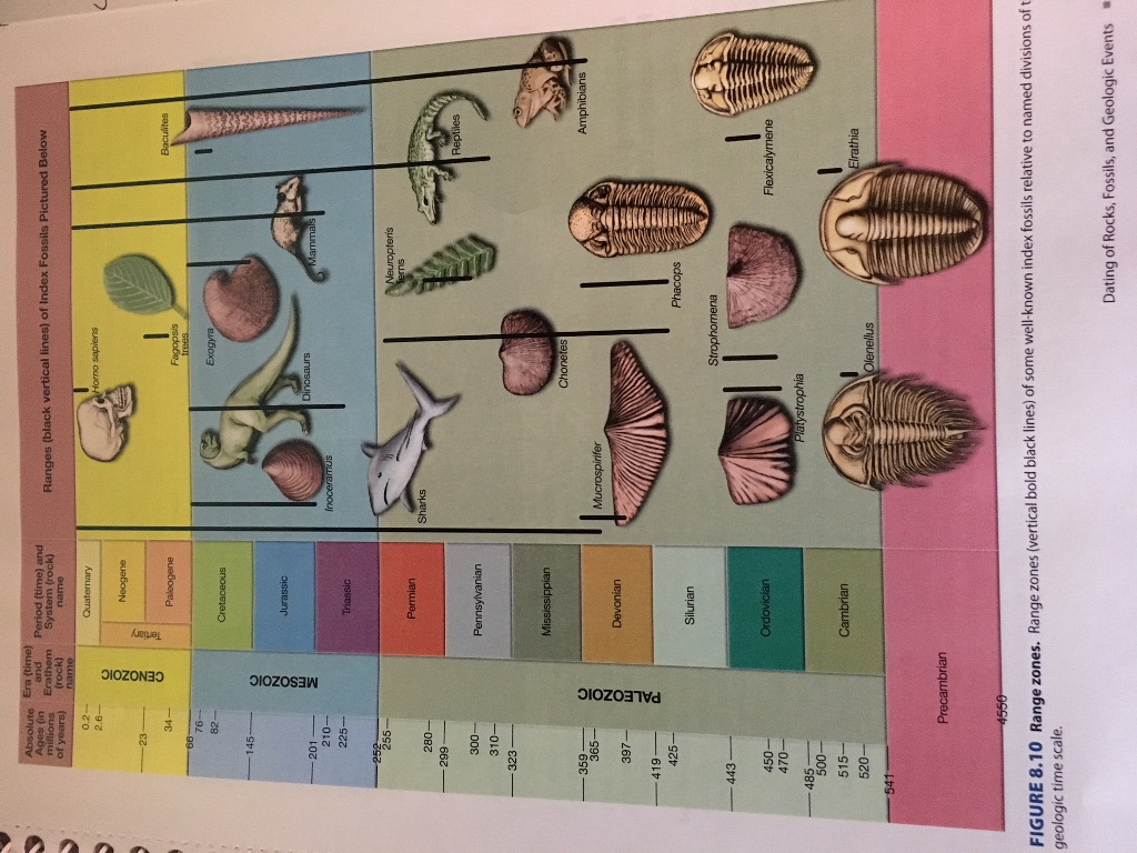 Solved 1. What index fossils from figure 8.10 are | Chegg.com