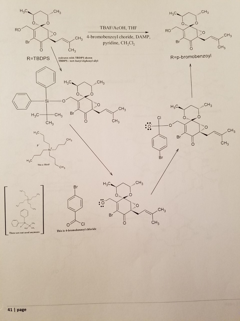 Solved HaC, CH CH H3C TBAF/AcOH, THF RO RO 4-bromo benzoyl | Chegg.com