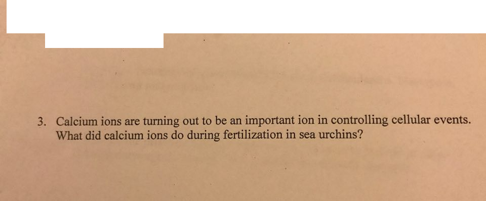 Solved Calcium ions are turning out to be an important ion | Chegg.com