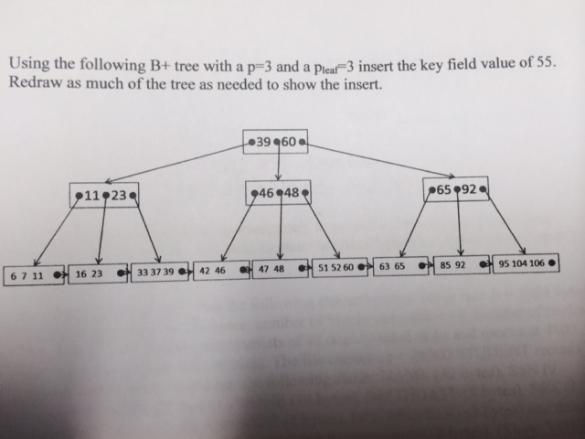Solved Using the following B+ tree with a p=3 and a Pteat=3 | Chegg.com