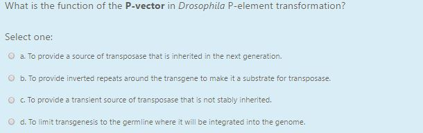 Solved What is the function of the P-vector in Drosophila | Chegg.com