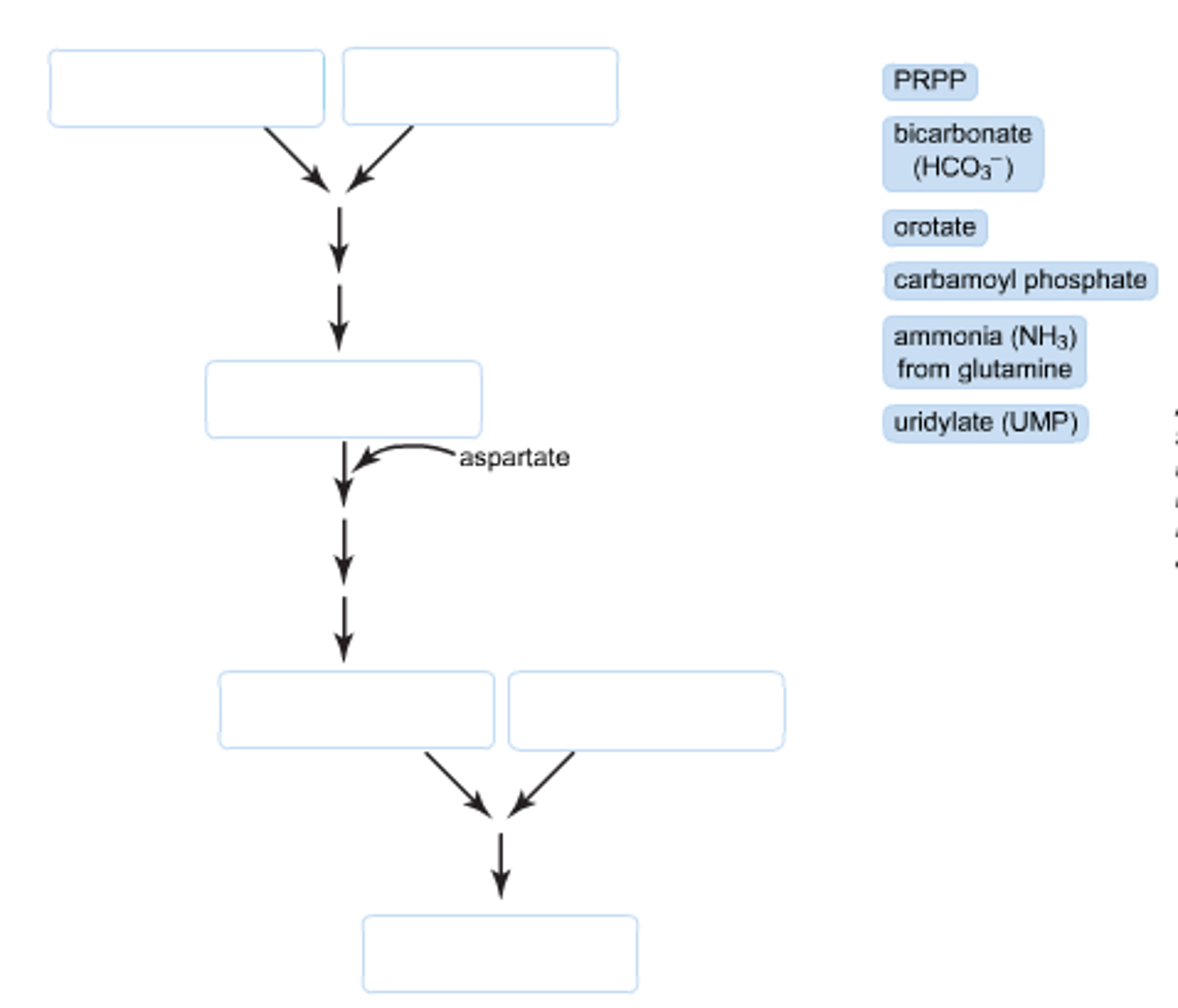 Solved a). A flow chart for the de novo synthesis of | Chegg.com