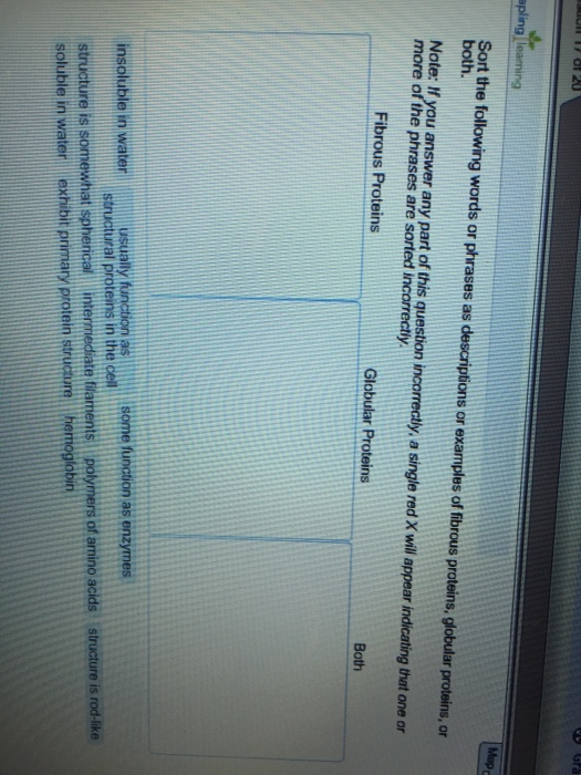 pling learning Mapo Sort the following words or | Chegg.com