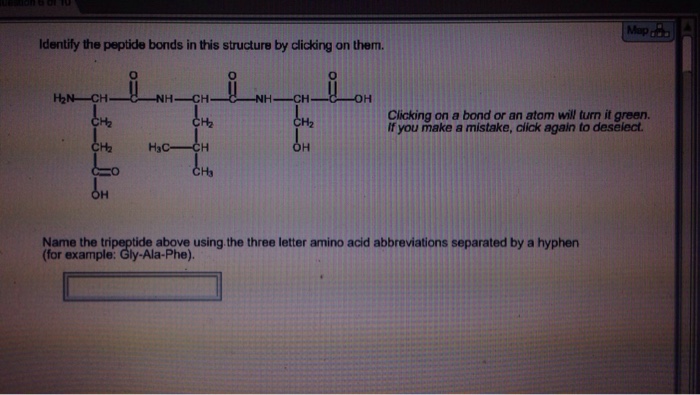 Solved Identify the peptide bonds in this structure by | Chegg.com