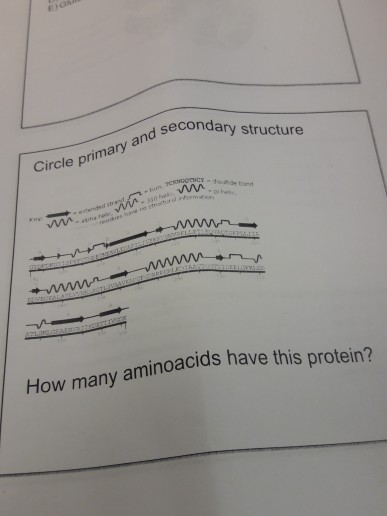 Solved Circle a tertiary struct Circle a quaternary | Chegg.com