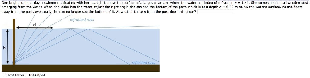 Solved One bright summer day a swimmer is foating with her | Chegg.com