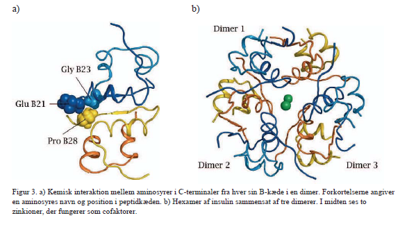 Solved task Insulin is a protein consisting of two | Chegg.com