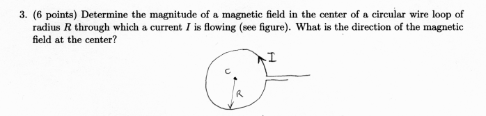 Solved Determine the magnitude of a magnetic field in the | Chegg.com