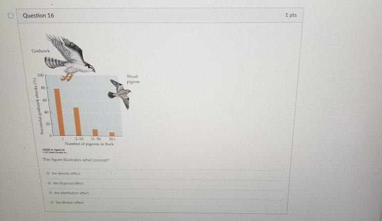Solved DQuestion 15 1 pts The idea that a female receives | Chegg.com Solved DQuestion 15 1 pts The idea that a female receives | Chegg.com
