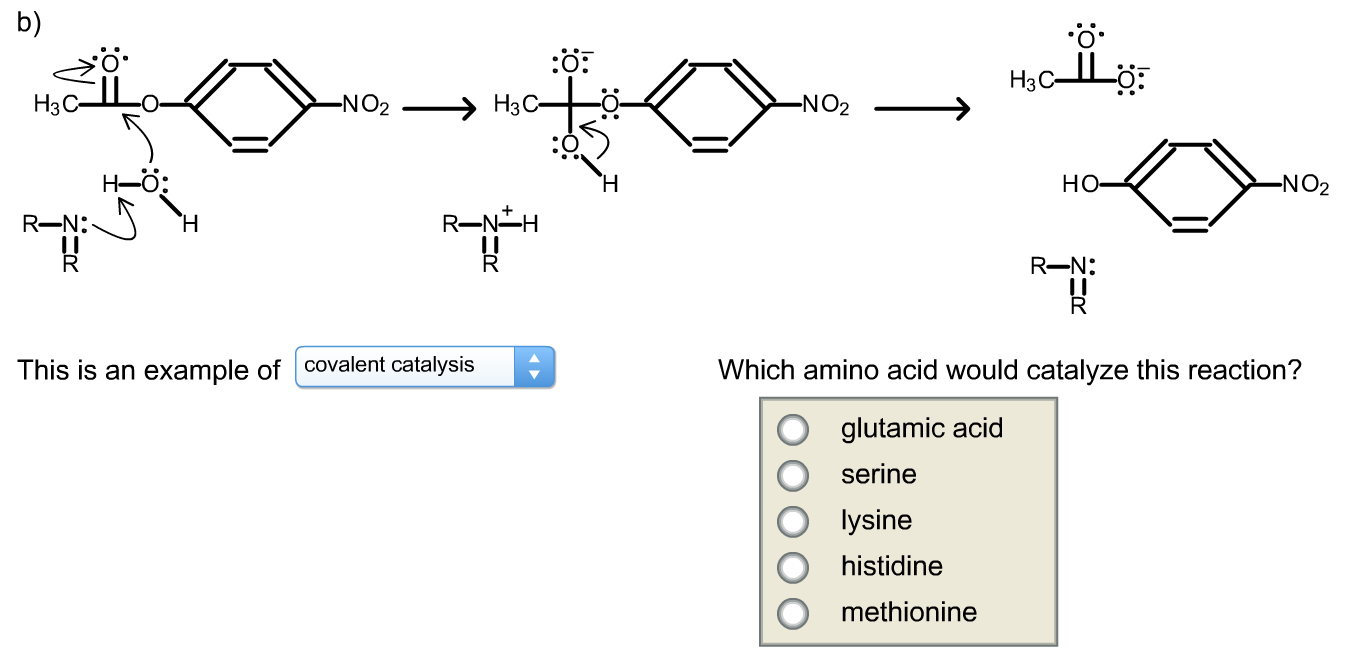 Solved Please help!!! Identify the kind of chemical | Chegg.com
