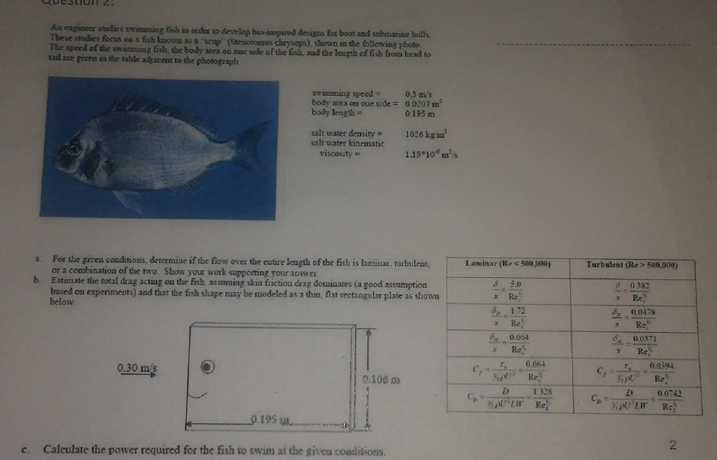 Solved UCSLIDE E An engineer studies swimming in order to | Chegg.com
