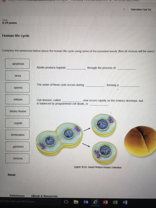 Solved complete the sentences below about the human life | Chegg.com