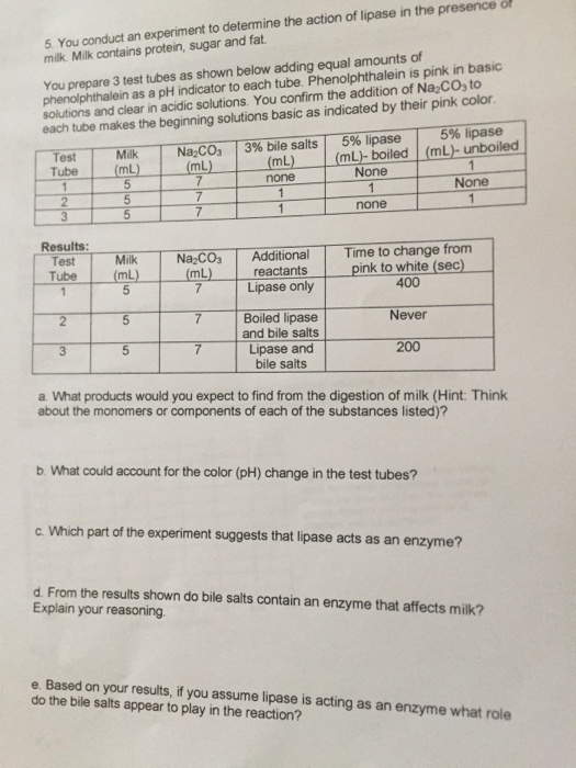 Solved You conduct an experiment to determine the action of | Chegg.com