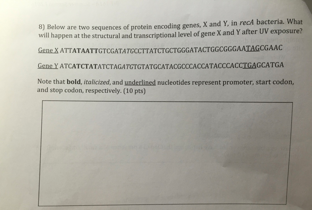 Solved Below are two sequences of protein encoding genes, X | Chegg.com