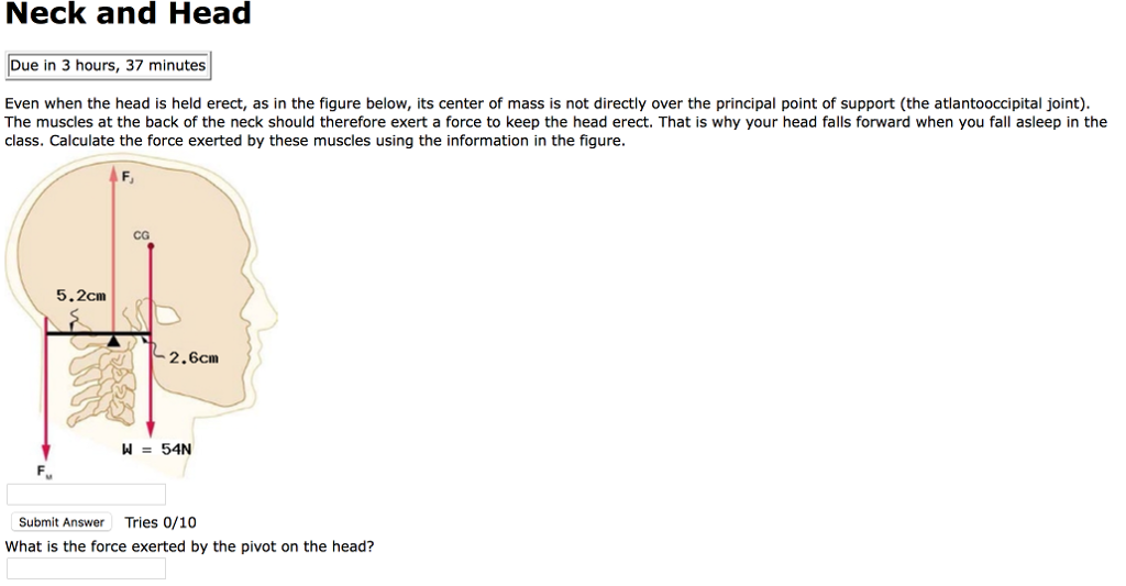 Solved Neck and Head Due in 3 hours, 37 minutes Even when | Chegg.com