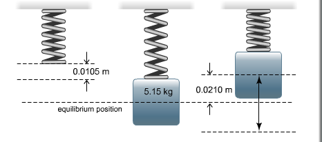 Solved Shown in the figure is an ideal spring hanging from a | Chegg.com