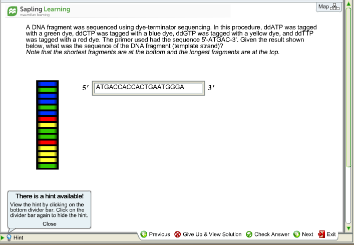Solved A DNA fragment was sequenced using dye- terminator | Chegg.com