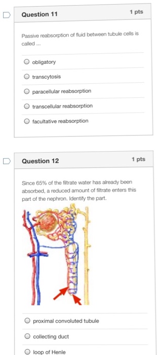 Solved 1 pts D Question 11 Passive reabsorption of fuid | Chegg.com Solved 1 pts D Question 11 Passive reabsorption of fuid | Chegg.com