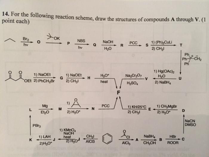 14. For the following reaction scheme, draw the | Chegg.com